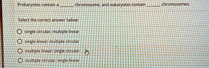 SOLVED: Texts: Prokaryotes contain a chromosome, and eukaryotes contain ...