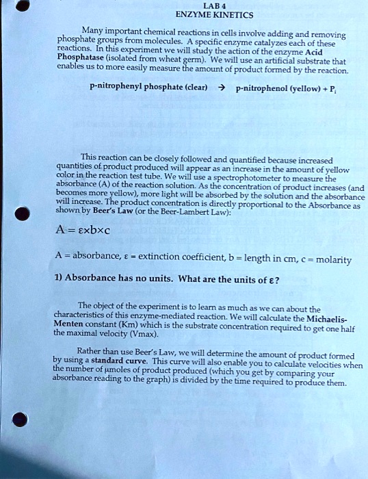 SOLVED: LAB ENZYME KINETICS MMany important chemical reactions in cells ...