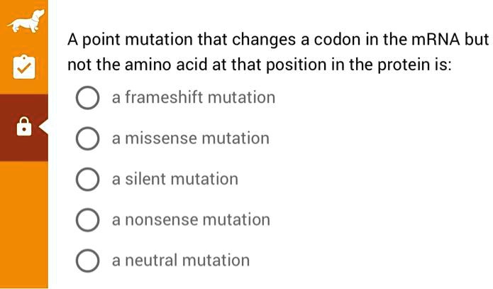 SOLVED: A point mutation that changes a codon in the mRNA but not the ... SOLVED: A point mutation that changes a codon in the mRNA but not the ...
