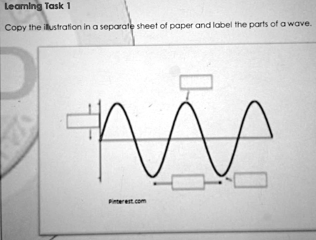 copy the illustration in a separate sheet of paper and label the parts ...