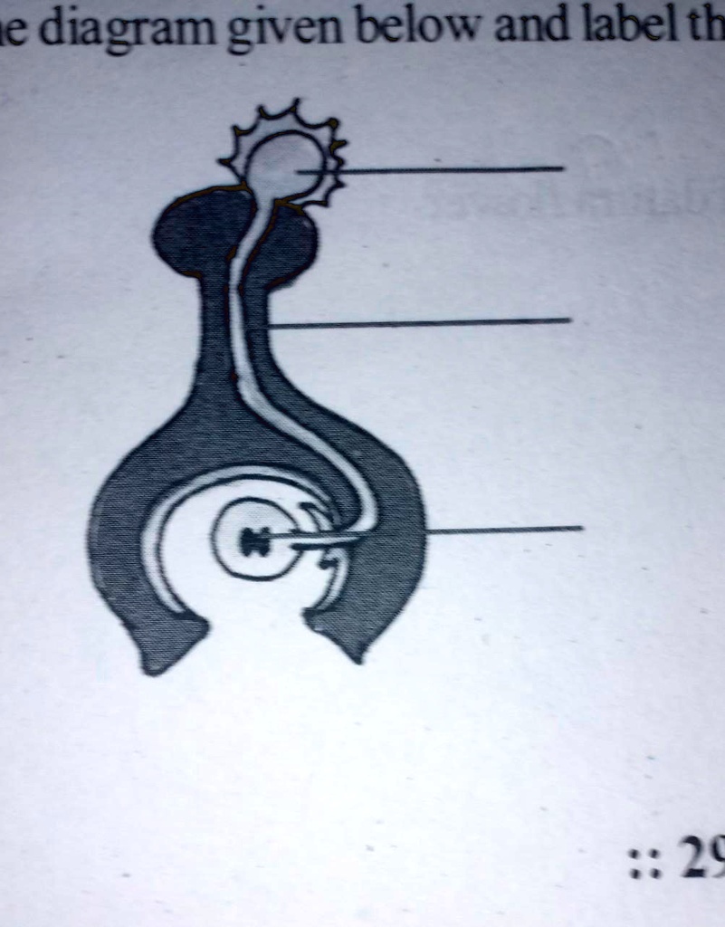 e diagram given below and label th