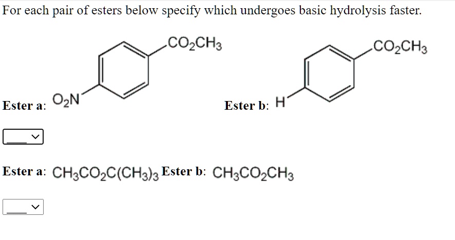 SOLVED: For each pair of esters below specify which undergoes basic ...