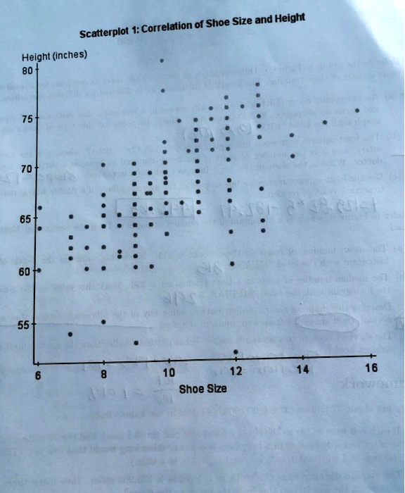 SOLVED: of Shoe Size and Height Scatterplot 1: Correlation = Height ...