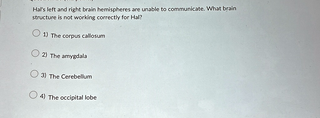 Hal's left and right brain hemispheres are unable to communicate. What ...