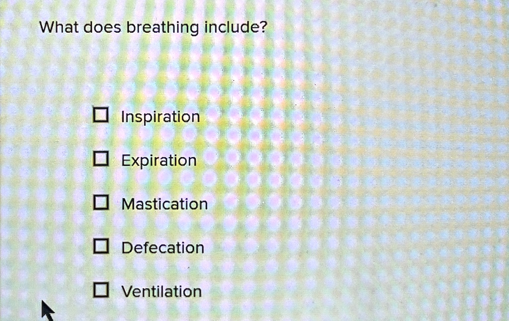What does breathing include? ? Inspiration ? Expiration ? Mastication ...
