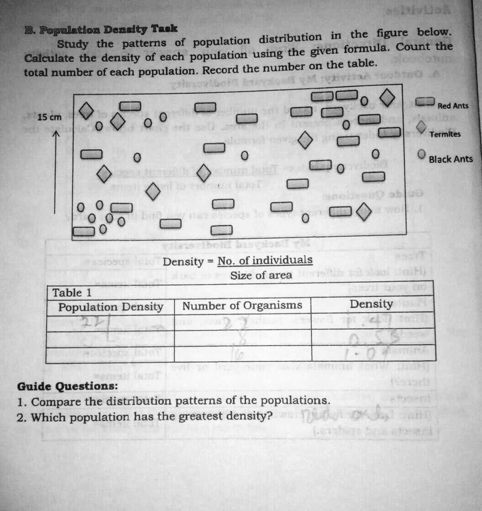 SOLVED B Population Density Tasks Study The Patterns Of Population