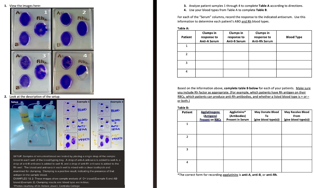 SOLVED: Look through the experiment and fill the following tables ...