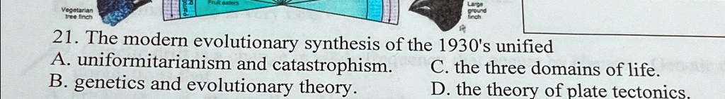 21. The modern evolutionary synthesis of the 1930's unified A ...