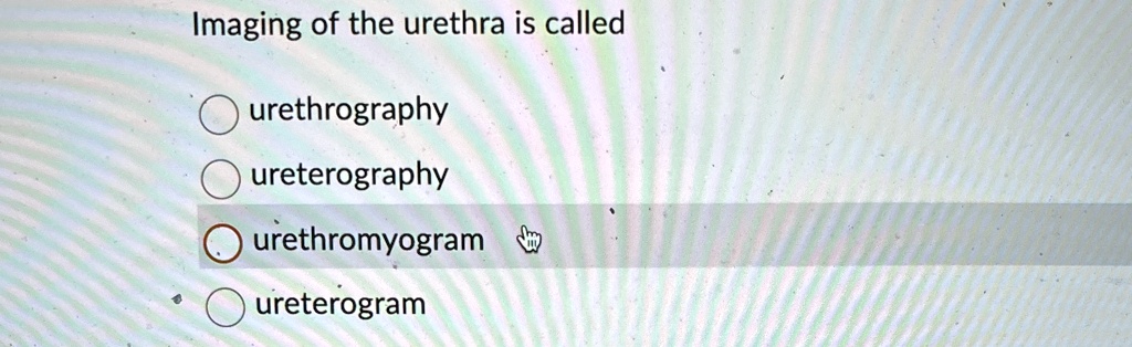 imaging of the urethra is called urethrography ureterography ...