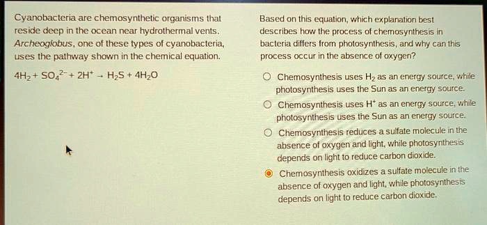 Cyanobacteria are chemosynthetic organisms that reside deep in the ...
