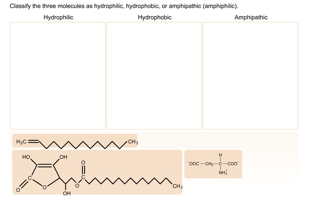 Classify the three molecules as hydrophilic, hydrophobic, or ...