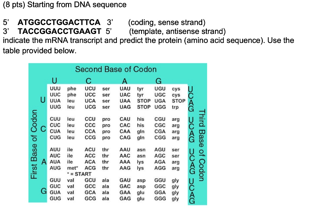 SOLVED: Starting from DNA sequence 5' ATGGCCTGGACTTCA 3' (coding, sense ...