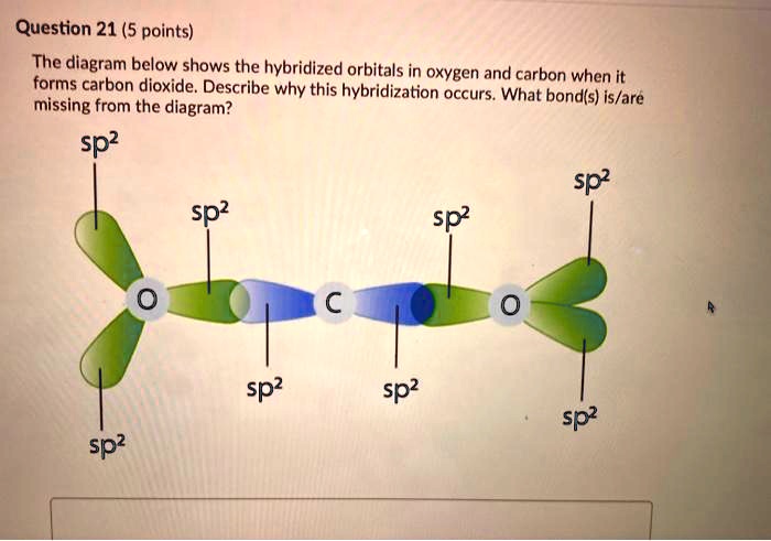 SOLVED: Question 21 (5 points) The diagram below shows the hybridized ...