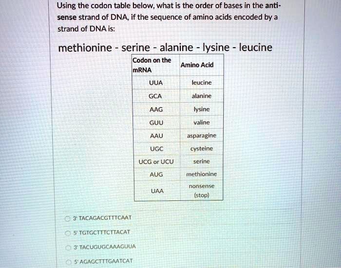 SOLVED Using The Codon Table Below What Is The Order Of Bases In The Anti Sense Strand Of DNA solved-using-the-codon-table-below-what-is-the-order-of-bases-in-the-anti-sense-strand-of-dna