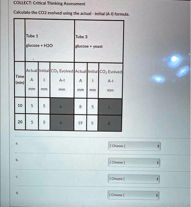 calculate the co2 evolved using the actual initial a i formula collect ...