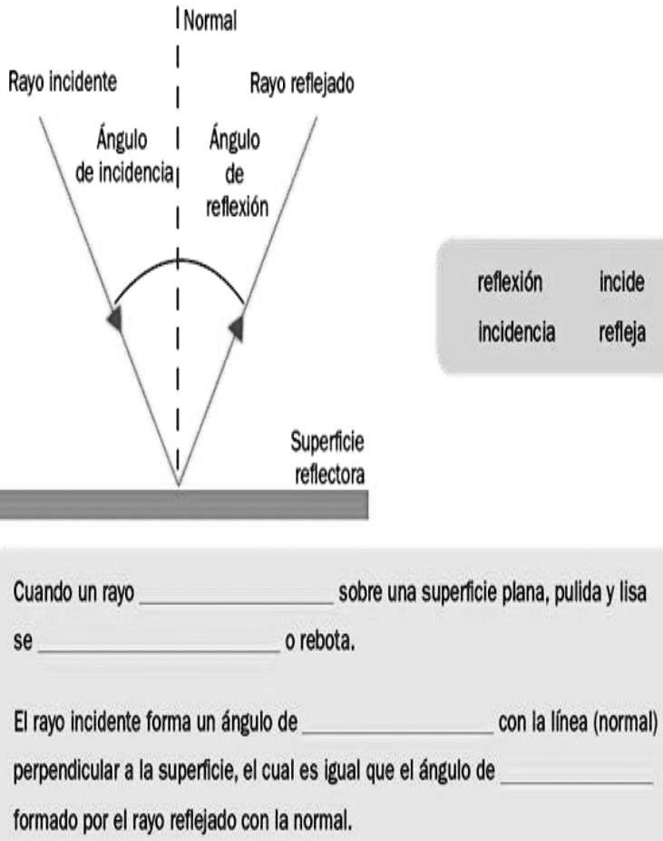 ayuda plis doy coronita inormal rayo incidente rayo reflejado angulo ...