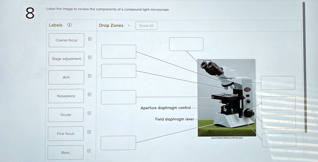 8 label the image to review the components of a compound light microscope labels coarse focus ...