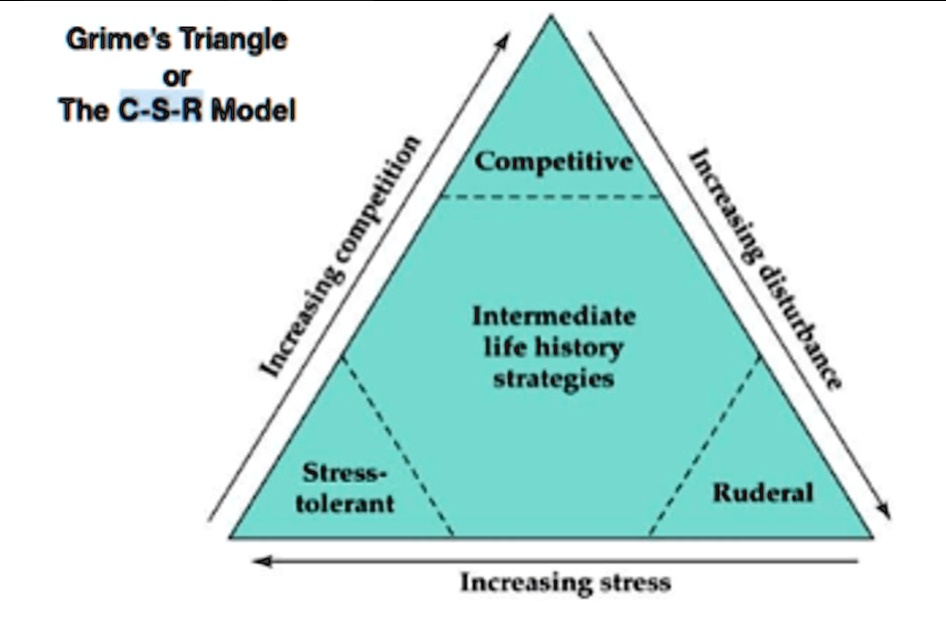grime triangle or the c s r model compctitive l 1 internediate life history 1 strategies stress ...