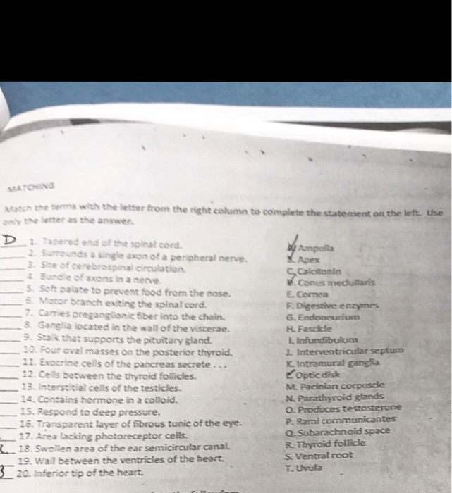 MATCHING Match the terms with the letter from the right column to ...