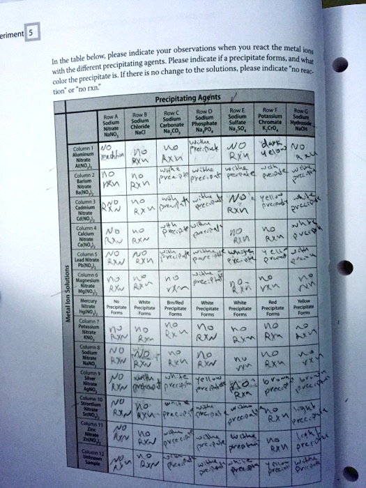SOLVED: Experiment Observations: When you react the metal, please ...