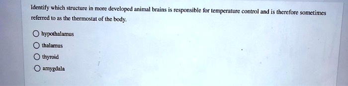 SOLVED: Identify which struclur morc dcveloped animal brains ...