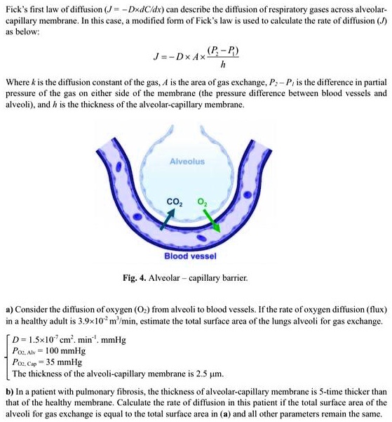 SOLVED: Fick's first law of diffusion (J = -D(dC/dx)) can describe the ...