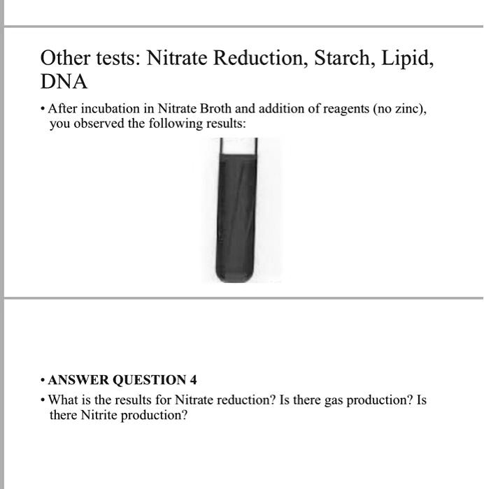 other tests nitrate reduction starch lipid dna after incubation in ...