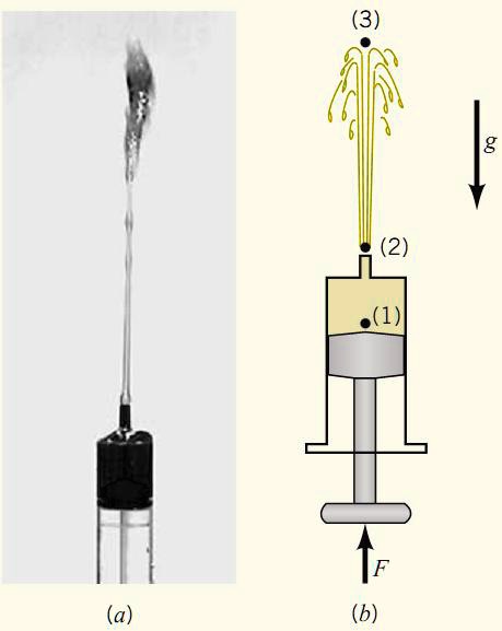 SOLVED: Both photographs and schematics of the flow state from the ...
