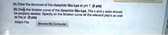 a draw the structure of the dipeptide glu lys at ph 7 2 pts dralv the ...