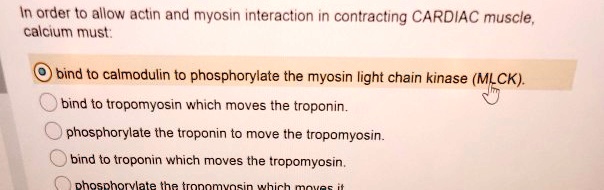 SOLVED: In order to allow actin and myosin interaction in contracting CARDIAC muscle calcium ...