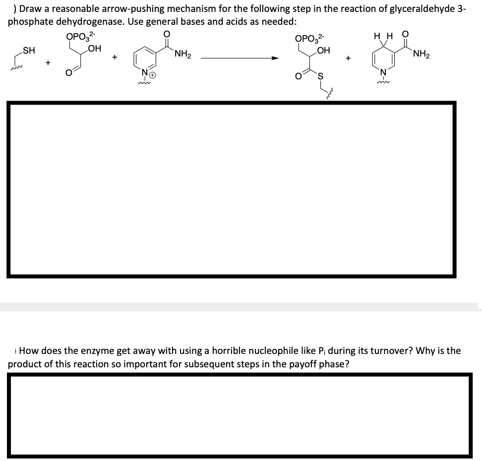 SOLVED: Draw a reasonable arrow-pushing mechanism for the following ...
