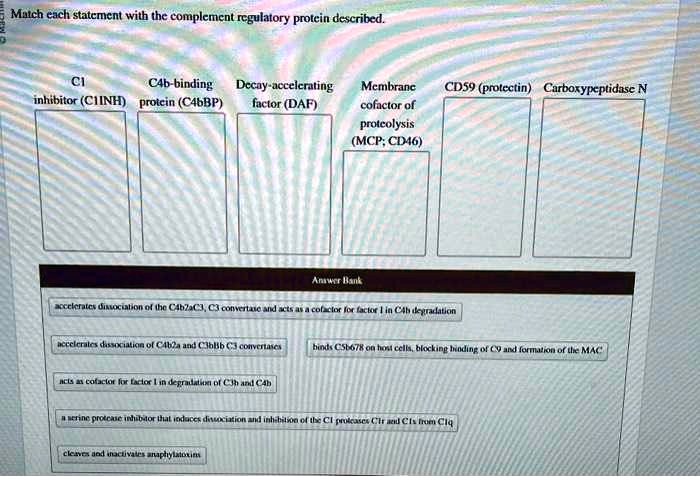 texts match each statement with the complement regulatory protein described ci c1inh decay ...