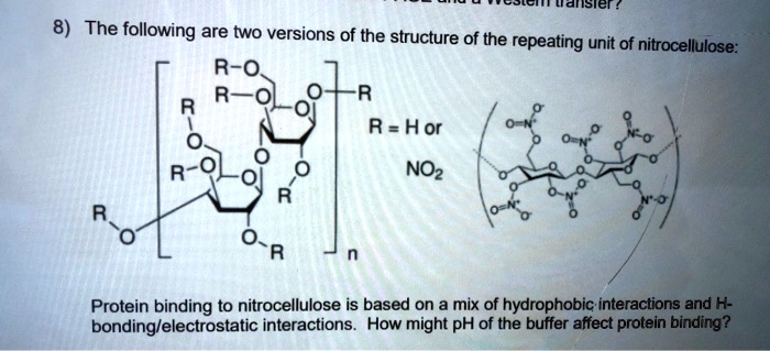 SOLVED: alisien 8) The following are two versions of the structure of ...