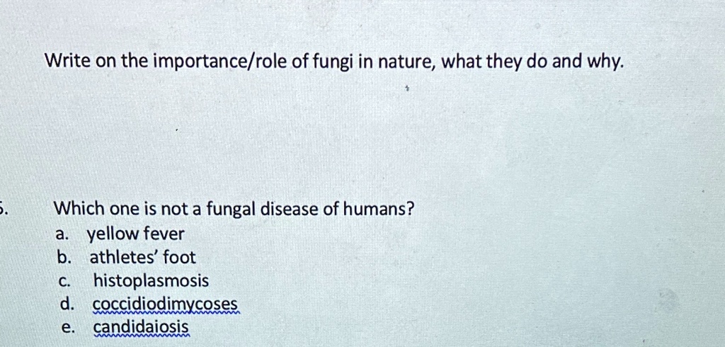Write on the importance/role of fungi in nature; what they do and why ...