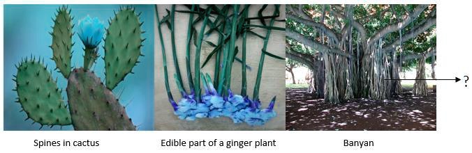 SOLVED: 'Refer to the given diagram to answer the following questions ...