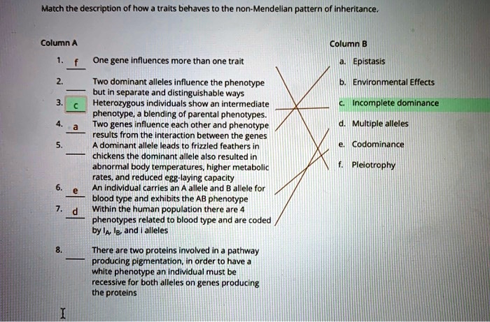 SOLVED: Match the description of how traits behave to the non-Mendelian ...