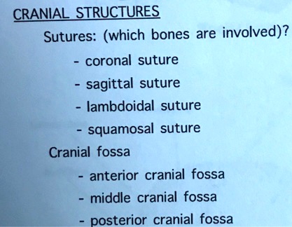 cranial structures sutures which bones are involved coronal suture ...