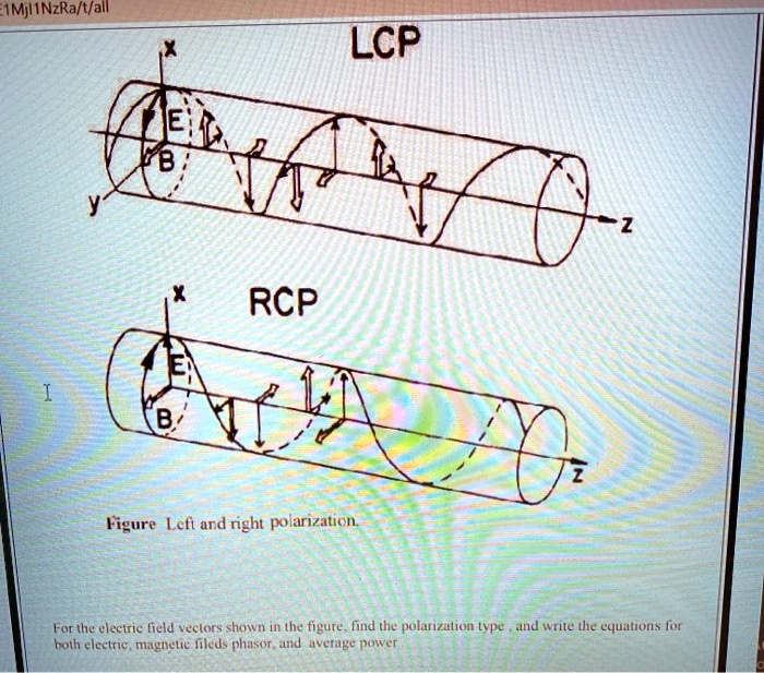 SOLVED: 1MjI1NzRa/t/all LCP EM B RCP B Figure Left and right ...