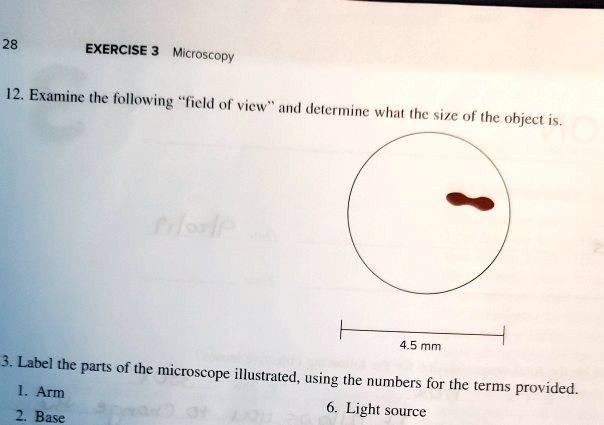 SOLVED: EXERCISE 3: Microscopy 12. Examine the following field of view and determine the size of ...