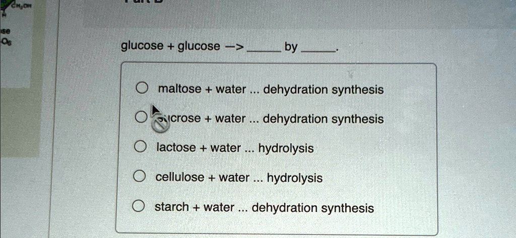 Glucose + Glucose -> Maltose + Water (dehydration synthesis) Sucrose ...