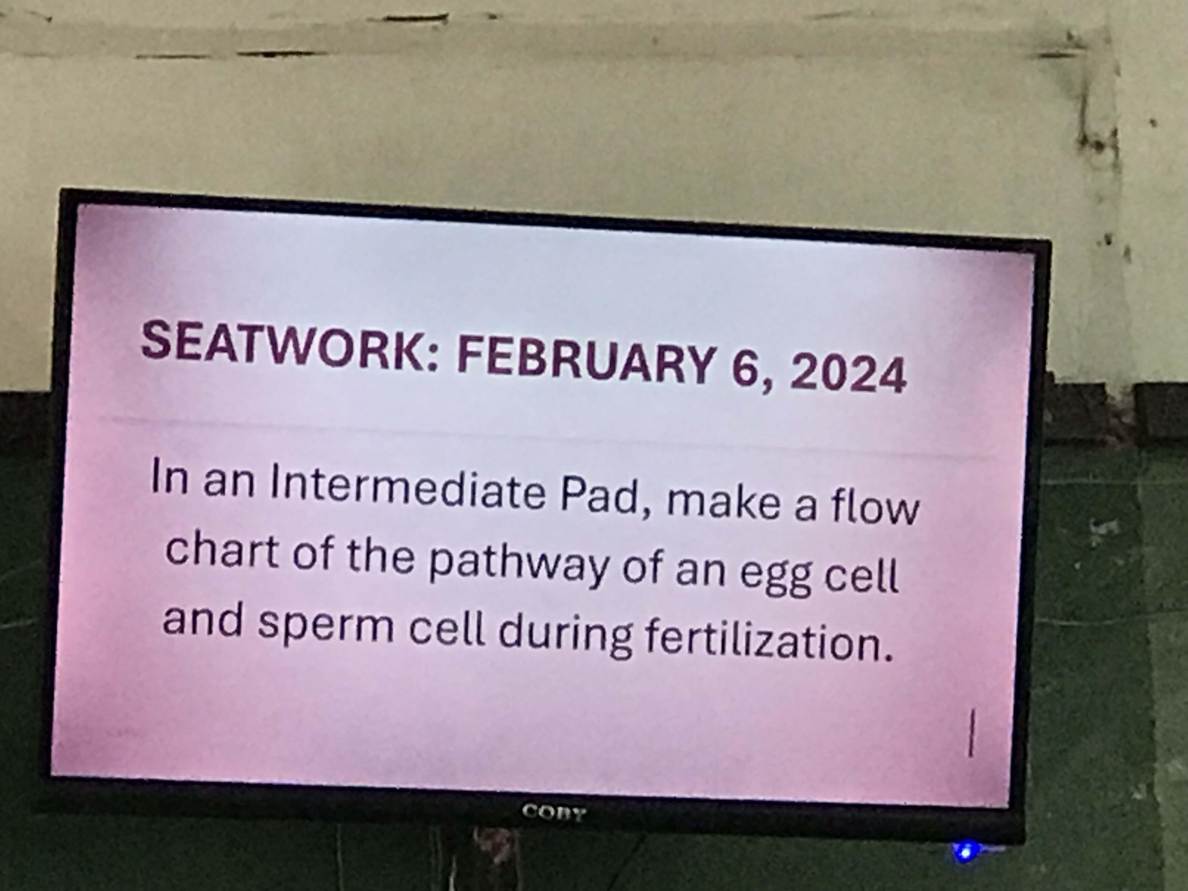 SEATWORK: FEBRUARY 6, 2024 In an Intermediate Pad, make a flow chart of ...