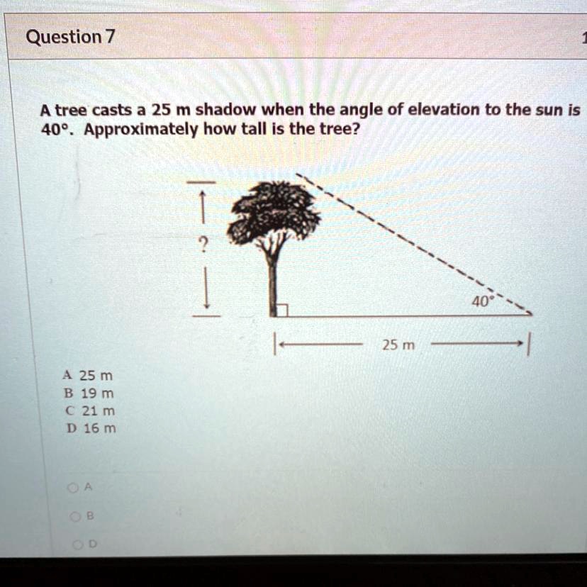 a tree casts a 25 m shadow when the angle of elevation to the sun is 40 ...