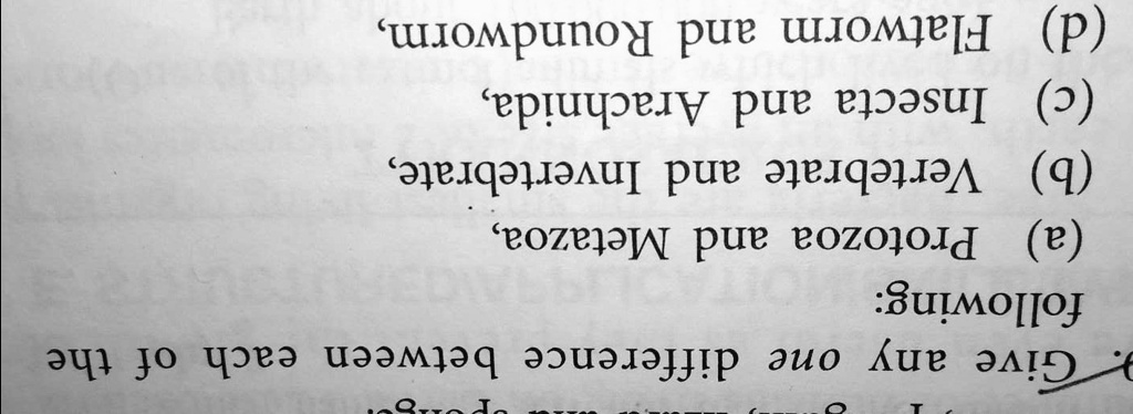 Difference between protozoa and metazoa