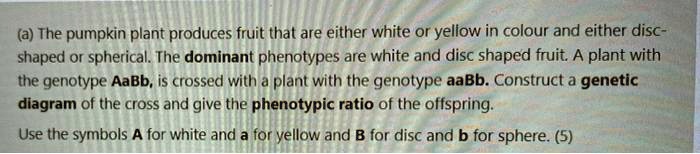SOLVED: (a) The pumpkin plant produces fruit that are either white or ...