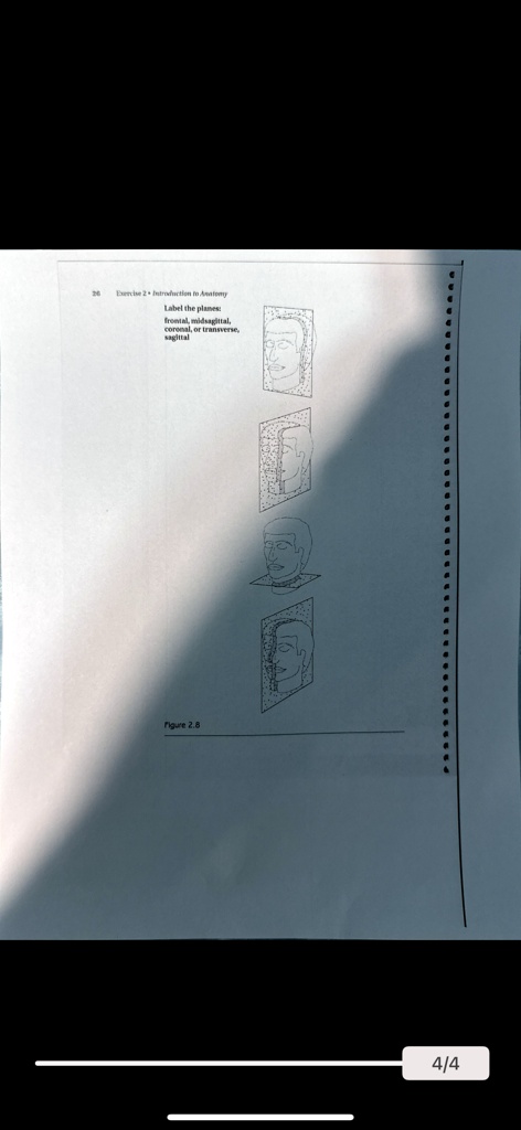 [GET ANSWER] exercise 2 introduction to anatomy label the planes ...