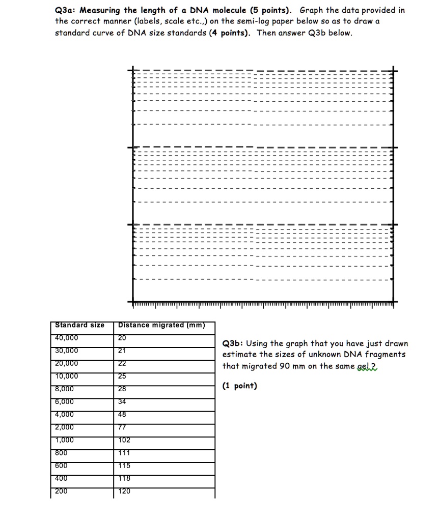 q3a measuring the length of dna molecule 5 points graph the data ...