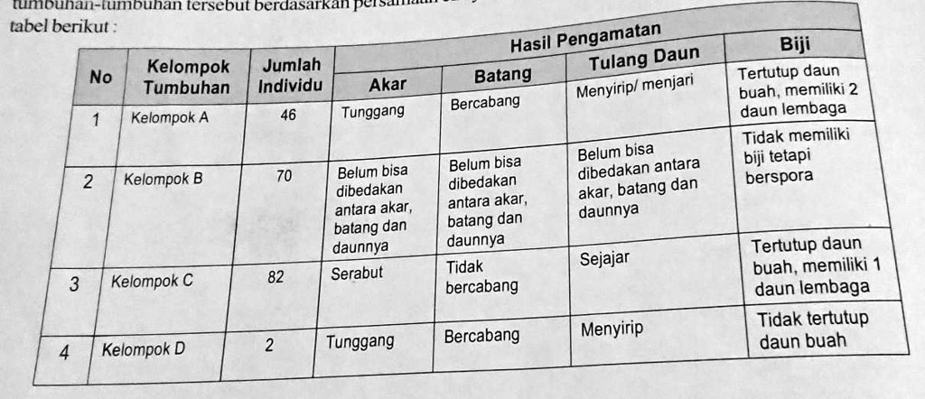 SOLVED: 10. Hitunglah perbandingan prosentase jumlah tumbuhan monokotil ...