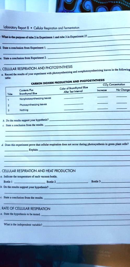SOLVED: Biology Lab Laboratory Report Cellular Respiration and ...