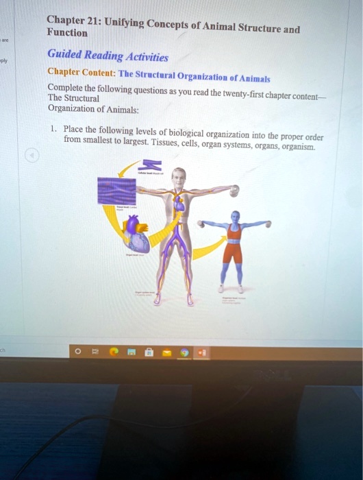 chapter z1 unifying concepts of animal structure and function guided reading activities chapter ...