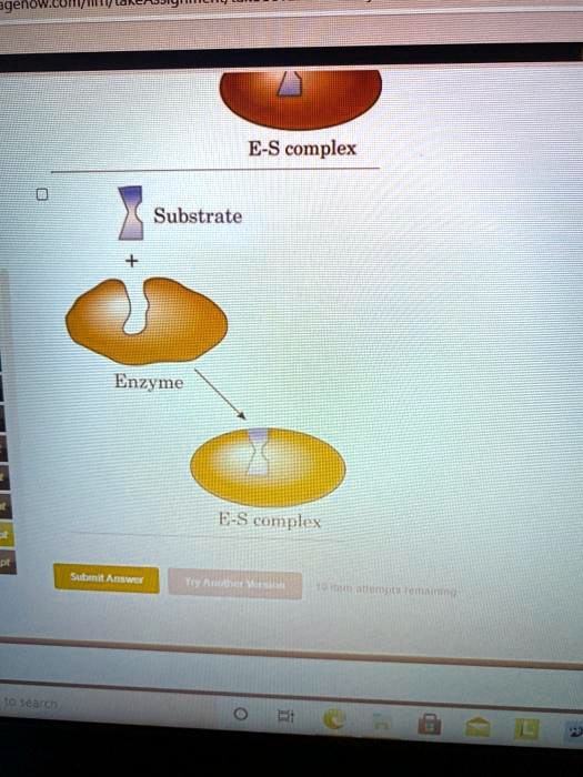 SOLVED: gen E-S complex Substrate Enzyme KAS complex